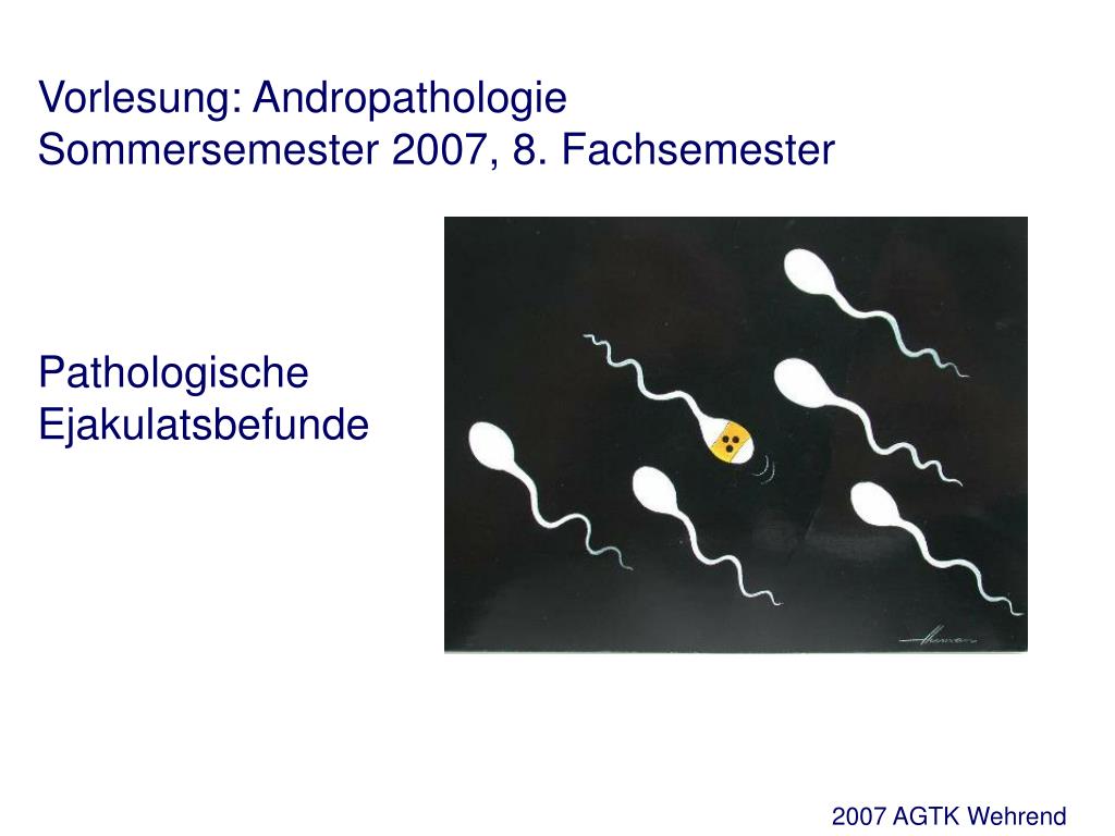 PPT - Vorlesung: Andropathologie Sommersemester 2007, 8. Fachsemester ...