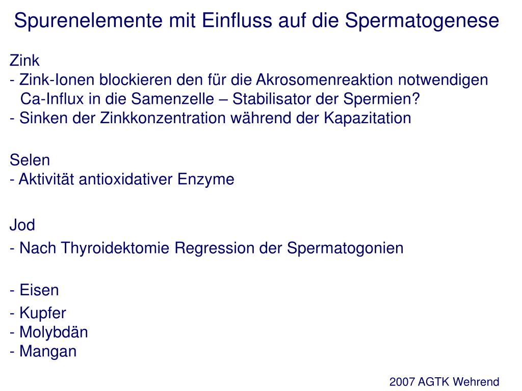 PPT - Vorlesung: Andropathologie Sommersemester 2007, 8. Fachsemester ...