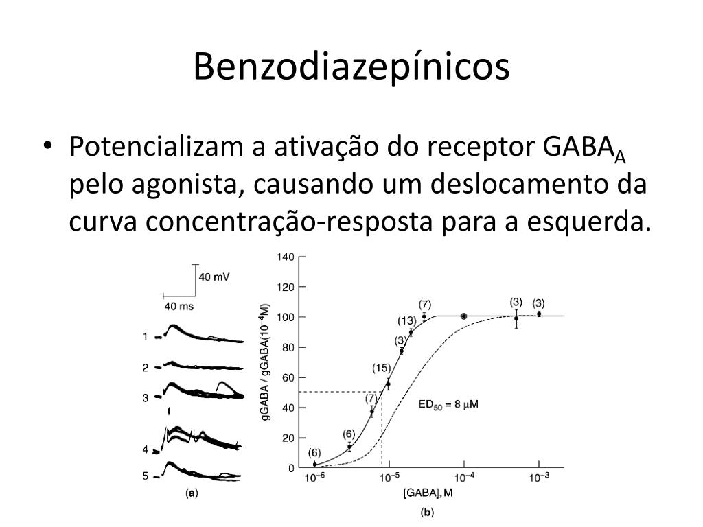 PPT - Neurofarmacologia da neurotransmissão GABAérgica e glutamatérgica ...