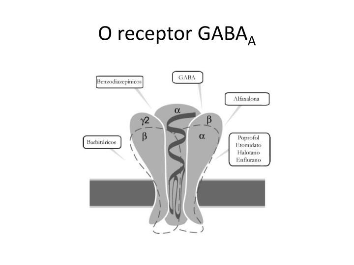 PPT - Neurofarmacologia da neurotransmissão GABAérgica e glutamatérgica ...