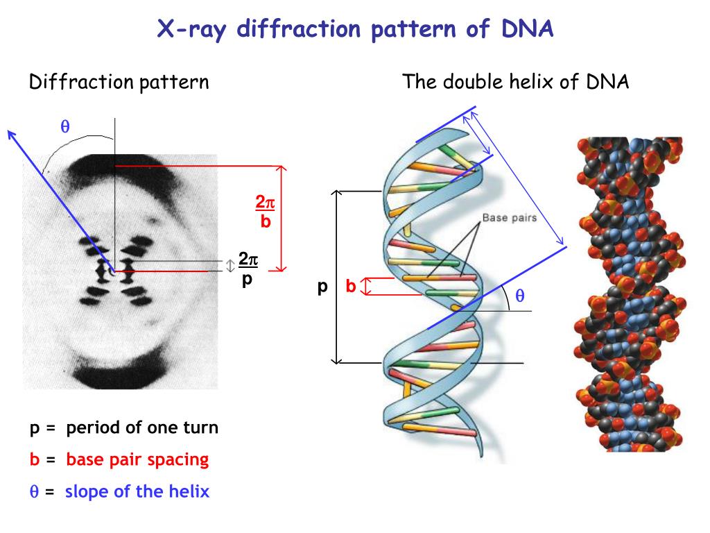 Ppt Diffraction Small Features Reciprocal Space K X 2 X