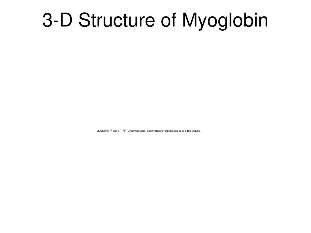 PPT - Molecular Biology & Biochemistry 694:407 & 115:511 Protein ...