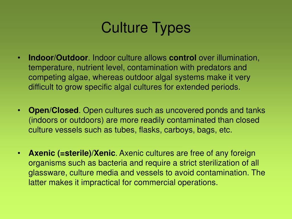 PPT - Plankton Culture for Feeding Larval Fish PowerPoint Presentation ...