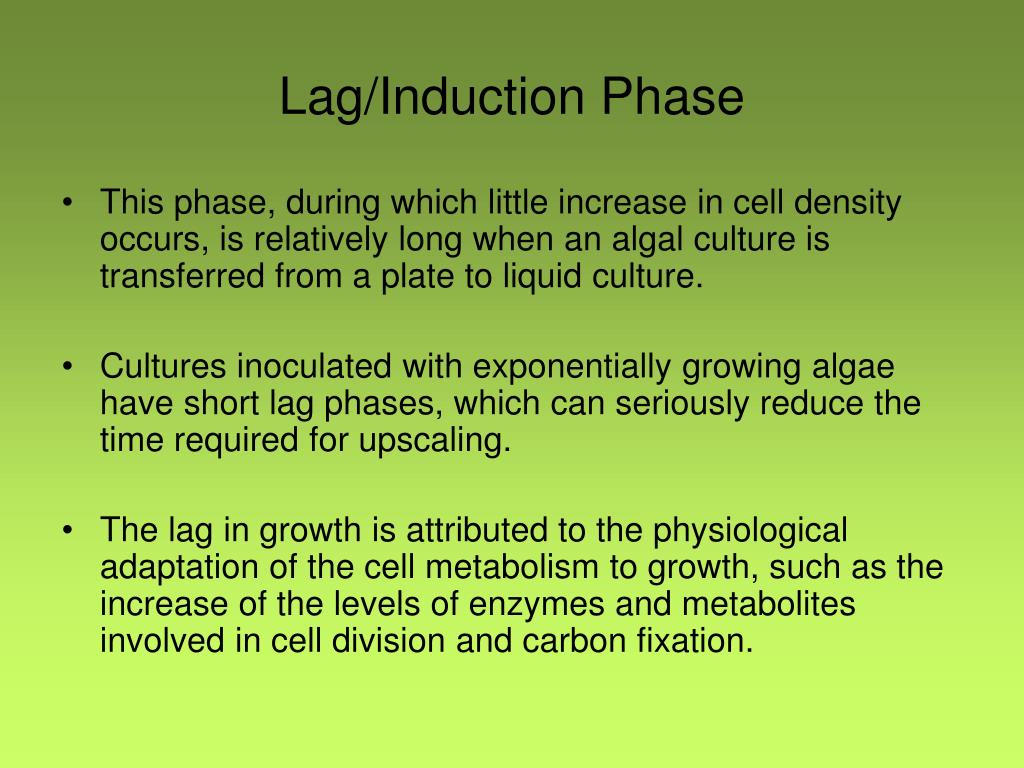 PPT - Plankton Culture for Feeding Larval Fish PowerPoint Presentation ...