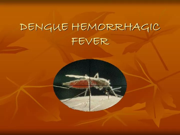 PPT - DENGUE HEMORRHAGIC FEVER PowerPoint Presentation, free download ...