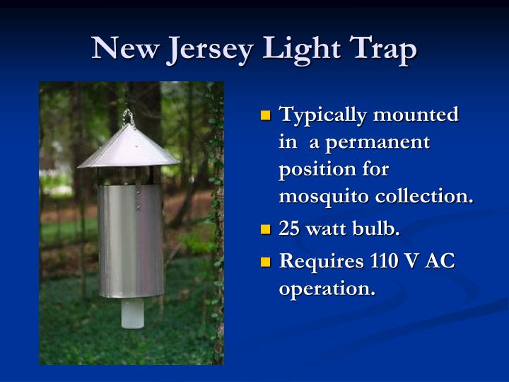 PPT - Mosquito Sampling and Techniques PowerPoint Presentation - ID:2965270