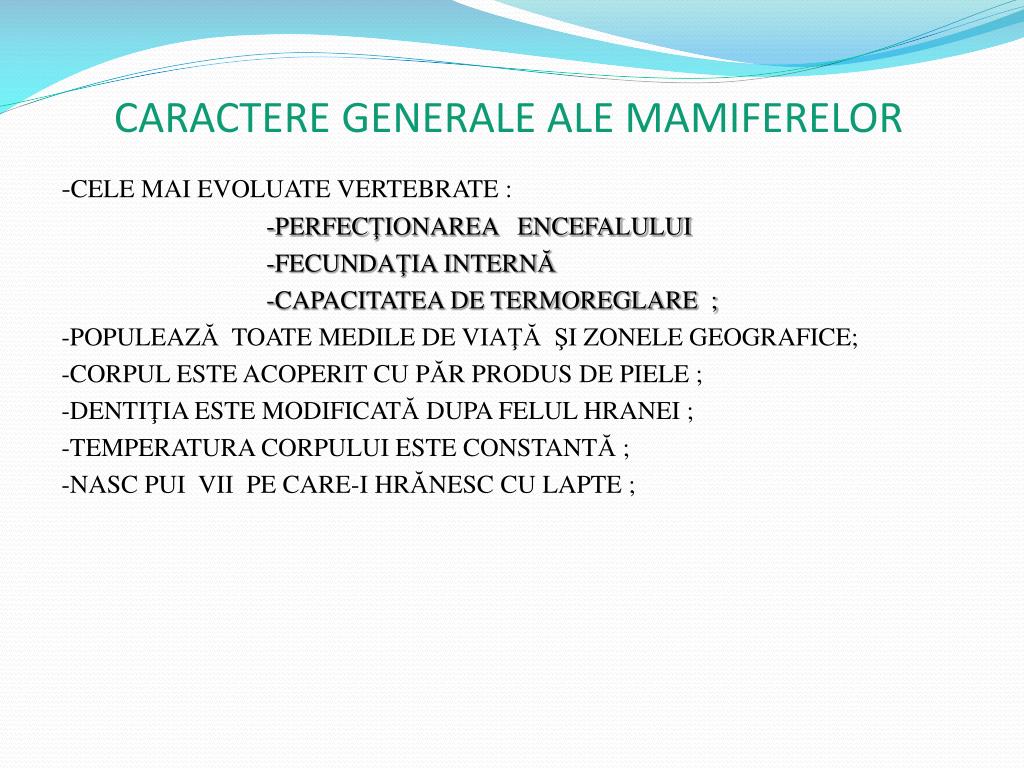 PPT - MAMIFERE INFERIOARE CANGURUL SI ORNITORINCUL PowerPoint ...