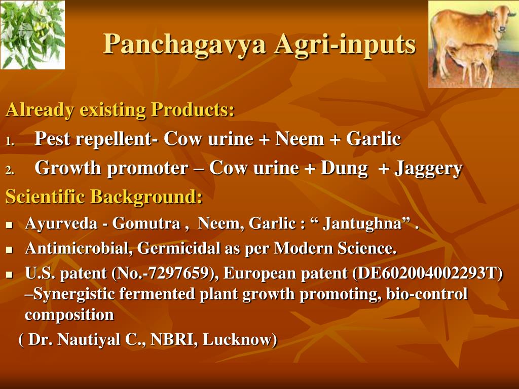 PPT - Mr. Jaykishor Chhangani & Mrs. Sudha Tiwari PowerPoint Presentation - ID:2965385