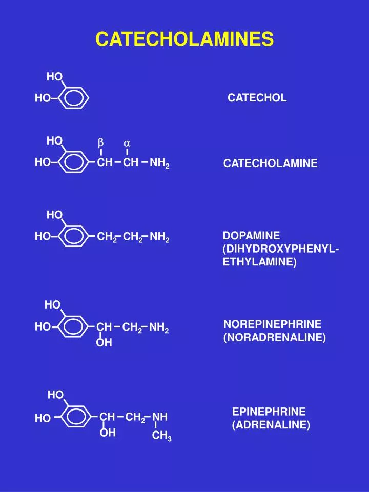 PPT - CATECHOLAMINES PowerPoint Presentation, free download - ID:2966468