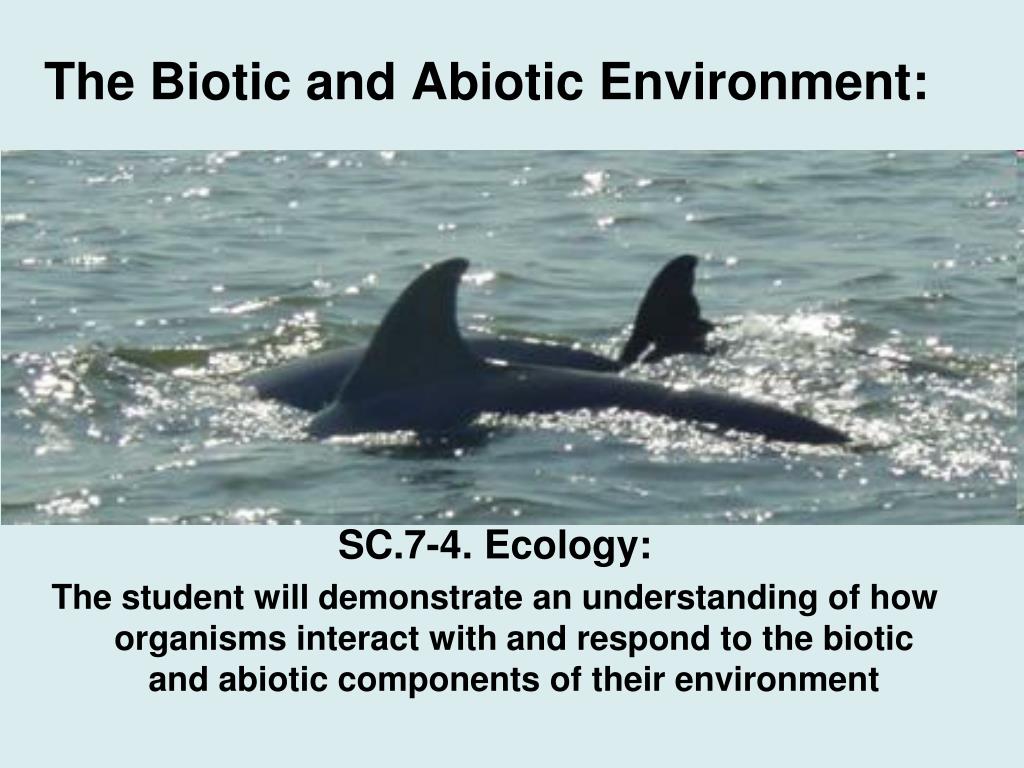 PPT - Exploring the Biotic and Abiotic Interactions in South Carolina's ...