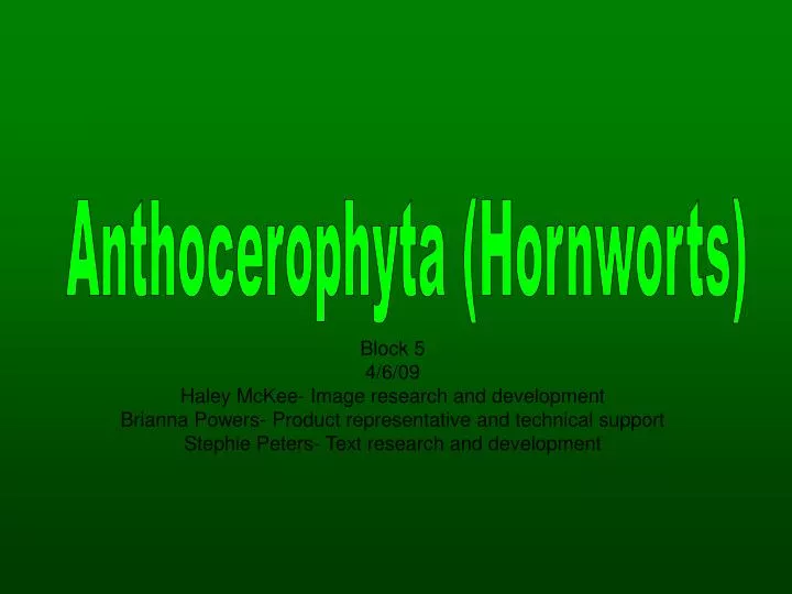 PPT - Block 5 4/6/09 Haley McKee- Image research and development ...