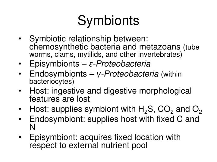 PPT - Chapter 7 PowerPoint Presentation - ID:2966887