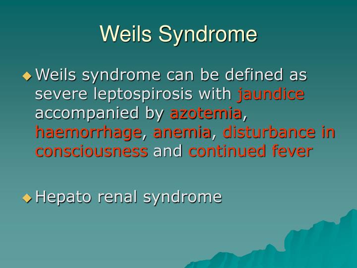 PPT - LEPTOSPIROSIS PowerPoint Presentation - ID:2968017