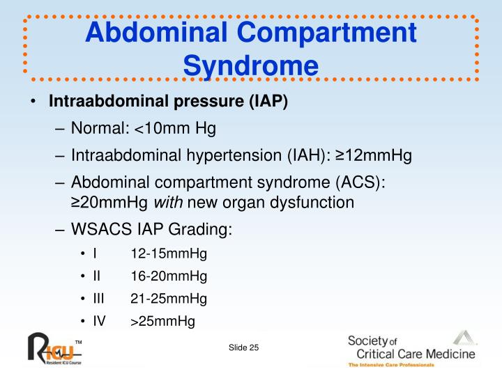 PPT - Program Information PowerPoint Presentation - ID:2968327