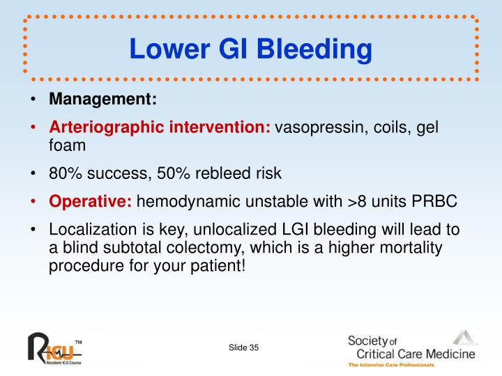 PPT - Program Information PowerPoint Presentation - ID:2968327