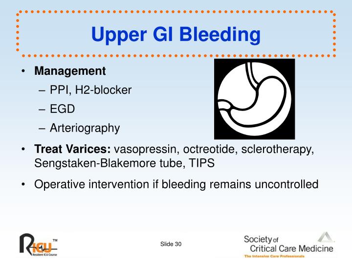 PPT - Program Information PowerPoint Presentation - ID:2968327