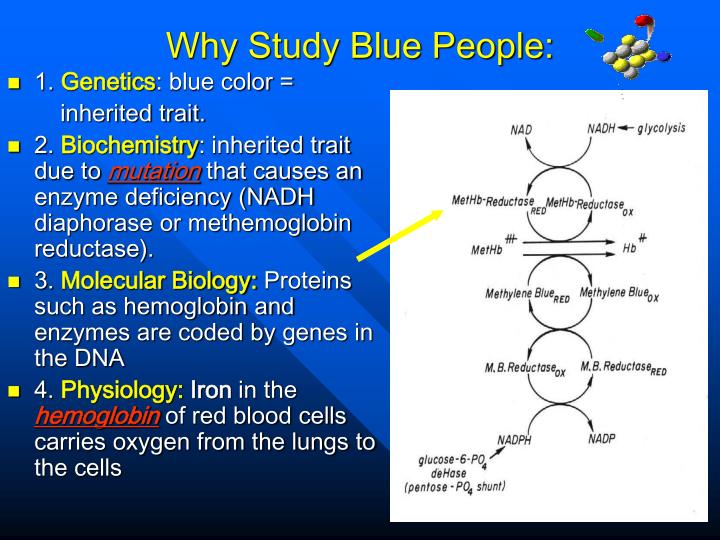 PPT - The Blue People of Troublesome Creek PowerPoint Presentation - ID ...
