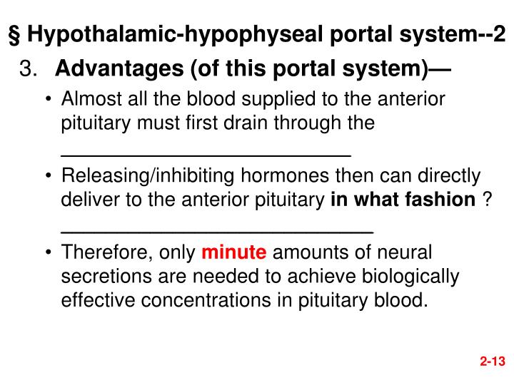 PPT - Chapter 2—Pituitary gland PowerPoint Presentation - ID:2968400