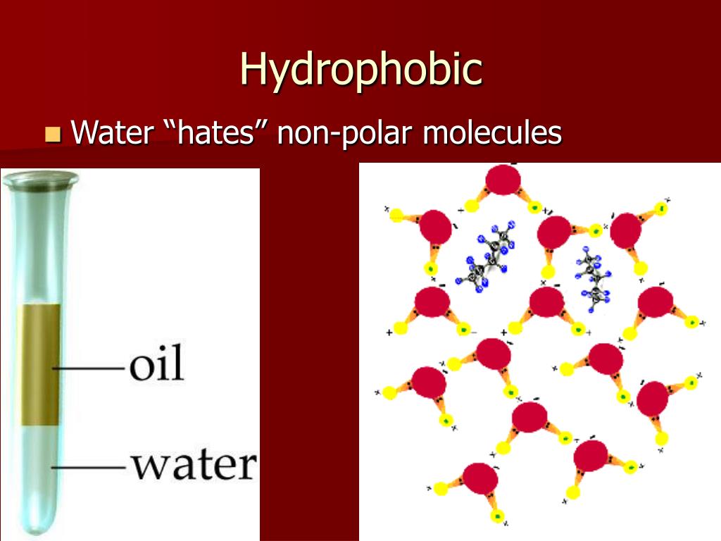 PPT - Chemistry of Life: Atoms, Ions, Molecules, and Water PowerPoint ...