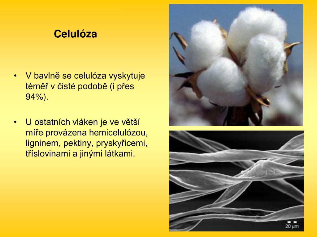 PPT - Přírodní rostlinná vlákna PowerPoint Presentation, free download ...
