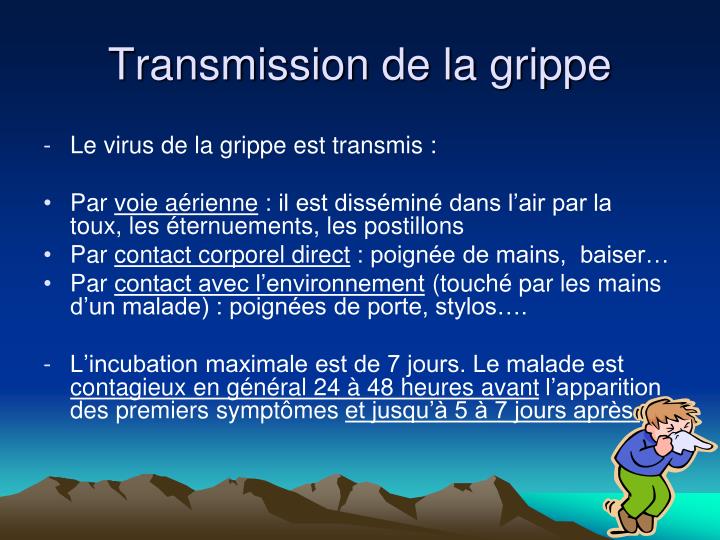 PPT - Pandémie grippe A PowerPoint Presentation - ID:2969387