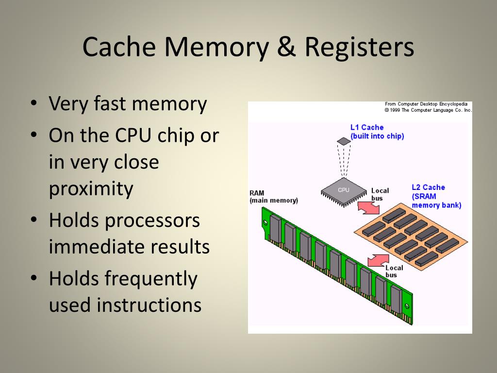 PPT - Computer Hardware & Processing Inside the Box PowerPoint ...