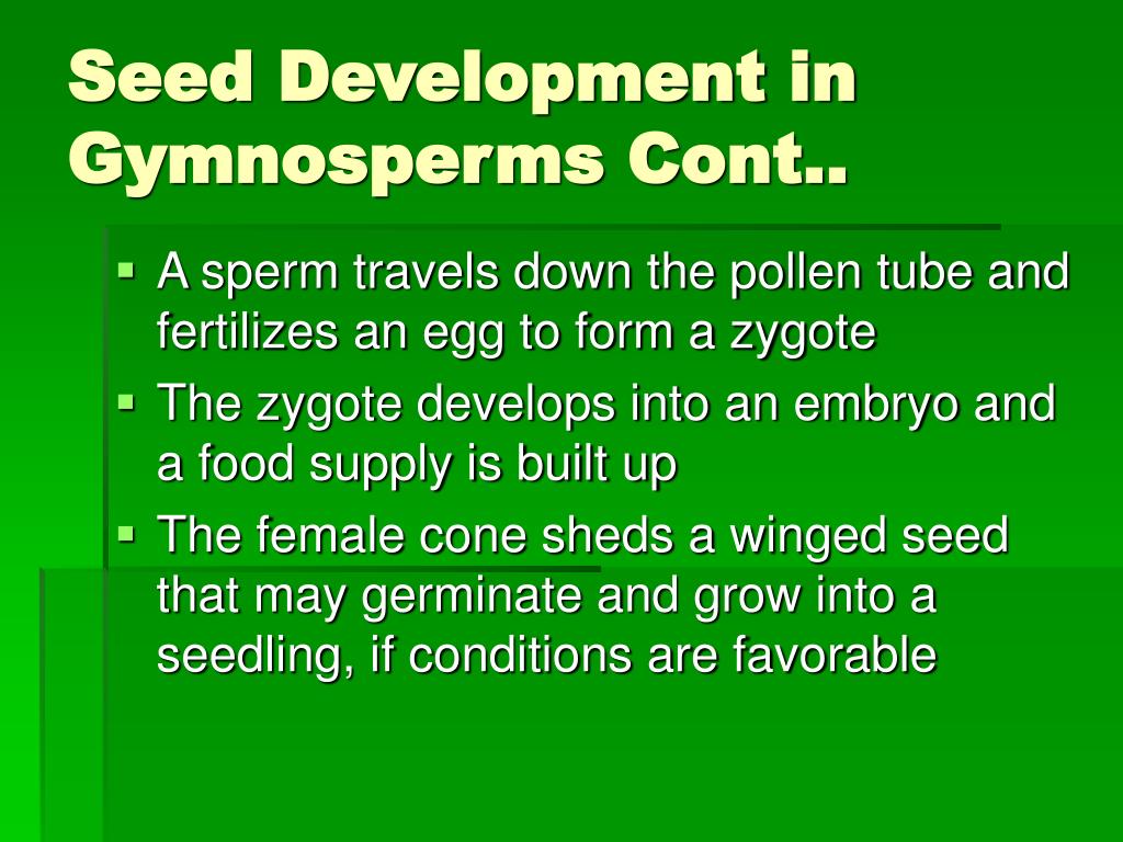 PPT - Sexual Reproduction in Plants PowerPoint Presentation, free ...