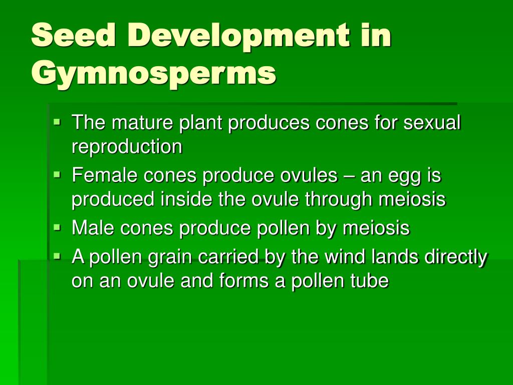 PPT - Sexual Reproduction in Plants PowerPoint Presentation, free ...