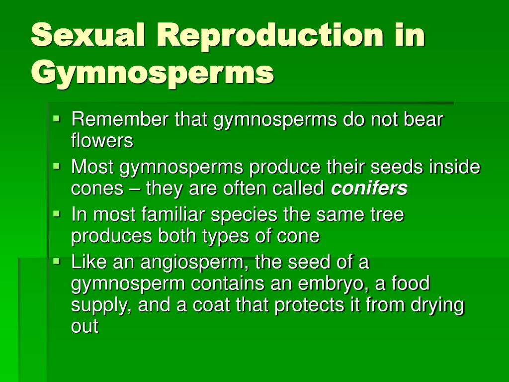 PPT - Sexual Reproduction in Plants PowerPoint Presentation, free ...