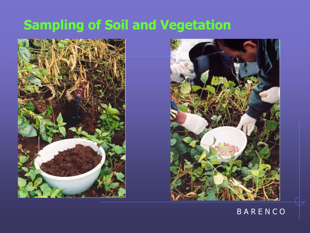 PPT - Preliminary Findings – Assessment of Soils and Crops in the ...