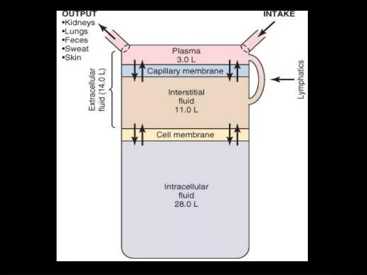 PPT - Calculations of Fluid Shifts and Osmolarities After Infusion of ...