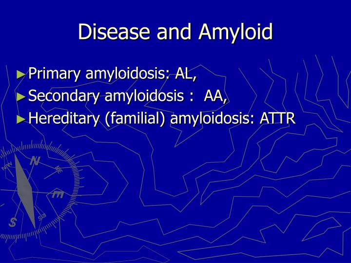 PPT - Amyloidosis PowerPoint Presentation - ID:2970235