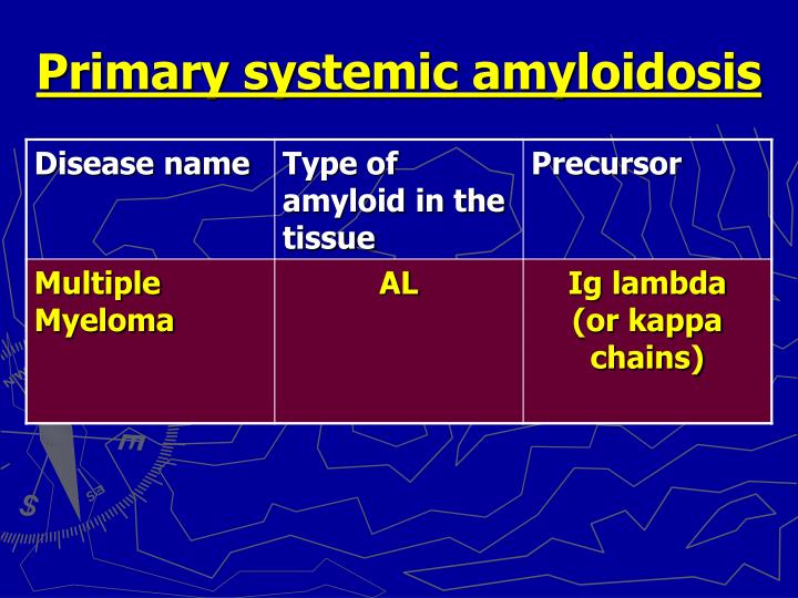 PPT - Amyloidosis PowerPoint Presentation - ID:2970235