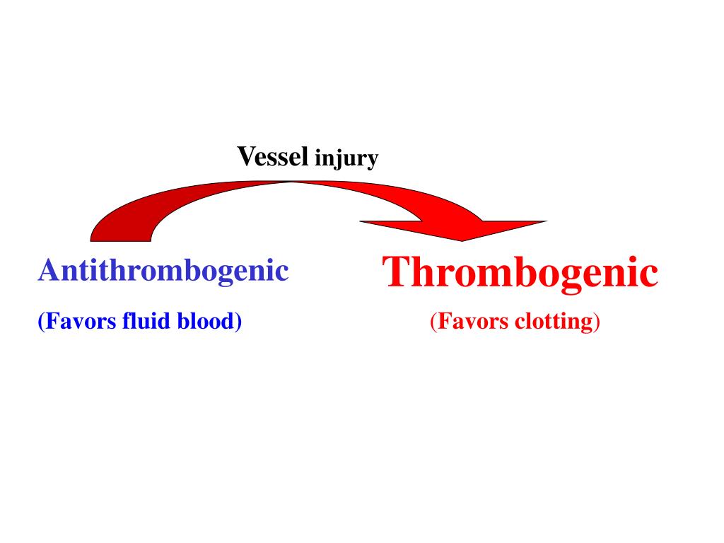 PPT - Blood coagulation and fibrinolysis PowerPoint Presentation, free ...