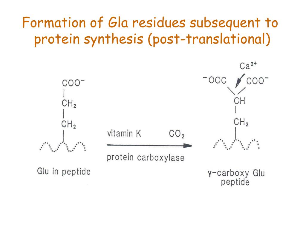 PPT - Blood coagulation and fibrinolysis PowerPoint Presentation, free ...