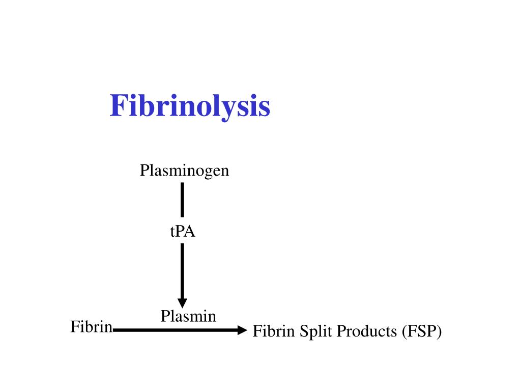 PPT - Blood coagulation and fibrinolysis PowerPoint Presentation, free ...