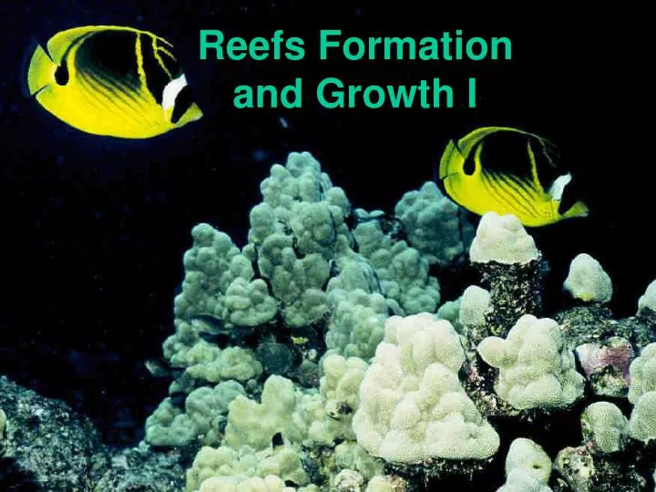 PPT - Reefs Formation and Growth I PowerPoint Presentation, free ...