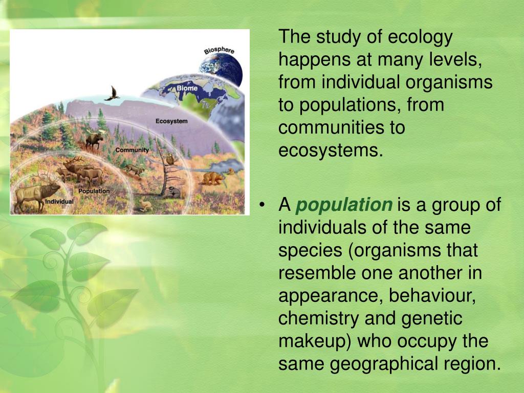 Ppt Population Ecology Powerpoint Presentation Free Download Id