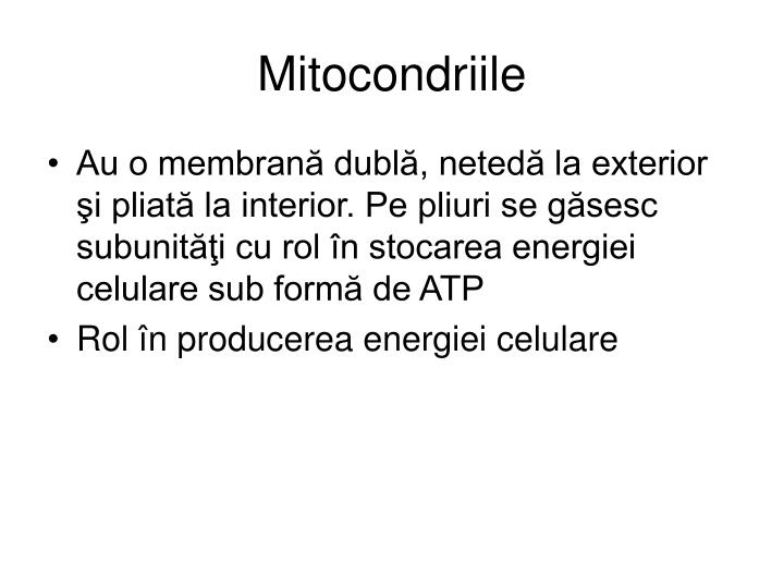 PPT - CELULA PowerPoint Presentation - ID:2971088