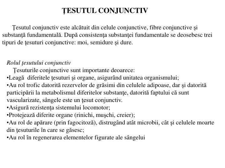 PPT - CELULA PowerPoint Presentation - ID:2971088