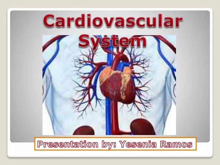 Ppt Cardiovascular System Powerpoint Presentation Free Download Id