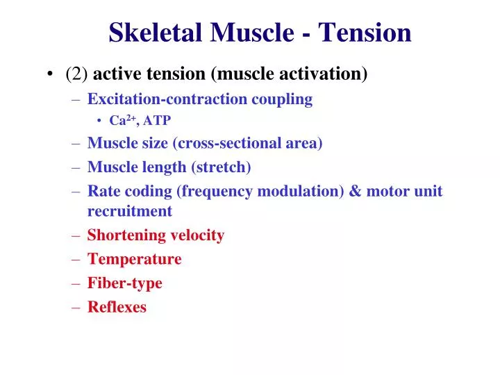 PPT - Skeletal Muscle - Tension PowerPoint Presentation, free download ...