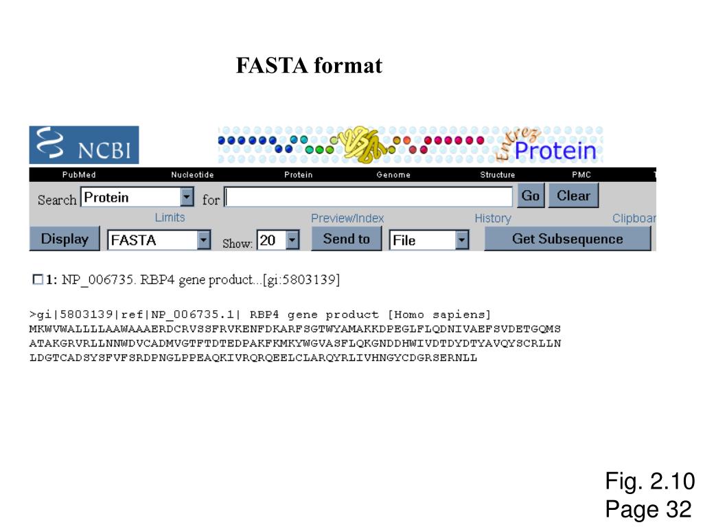 PPT - National Center for Biotechnology Information (NCBI) ncbi.nlm.nih ...