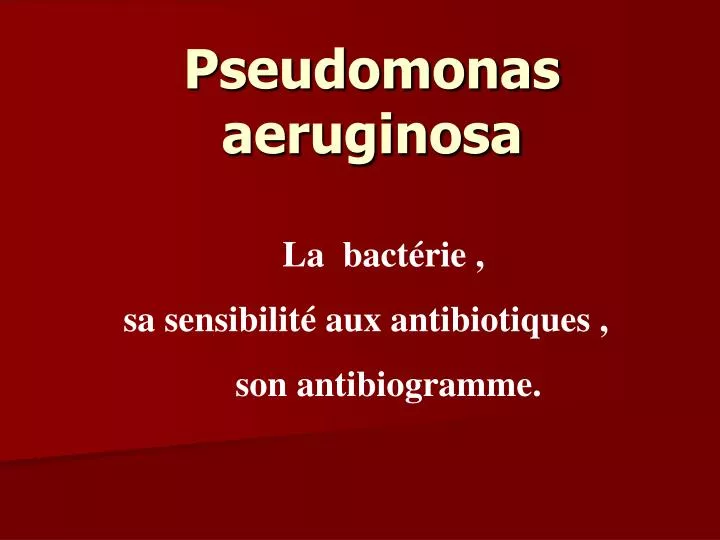 PPT - Pseudomonas aeruginosa PowerPoint Presentation, free download ...