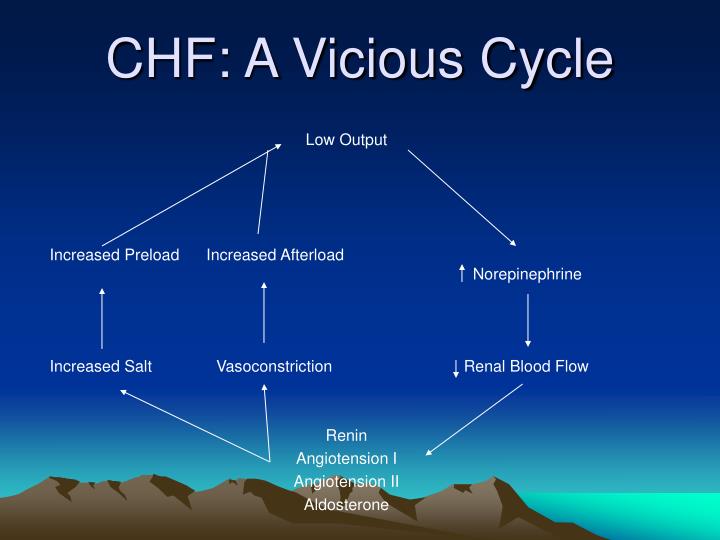 PPT - Congestive Heart Failure and Pulmonary Edema PowerPoint ...