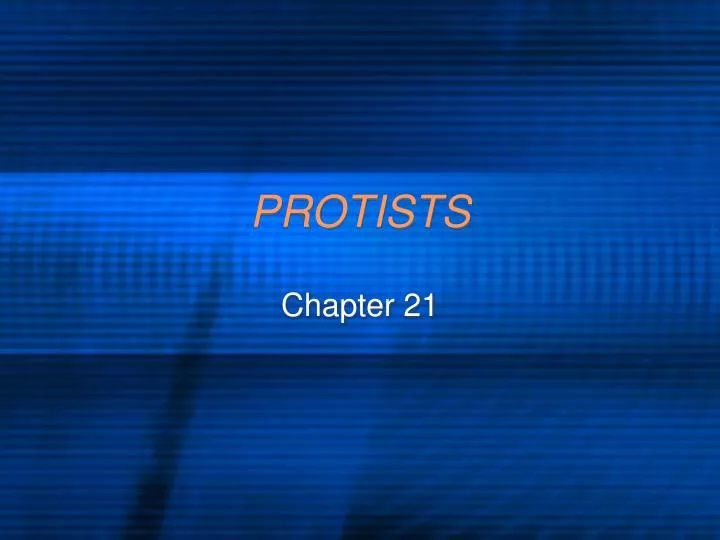 Ppt Protists Powerpoint Presentation Free Download Id 2972639