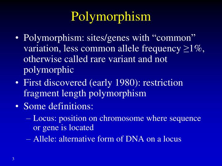PPT - Single Nucleotide Polymorphism Copy Number Variations and SNP Array PowerPoint ...