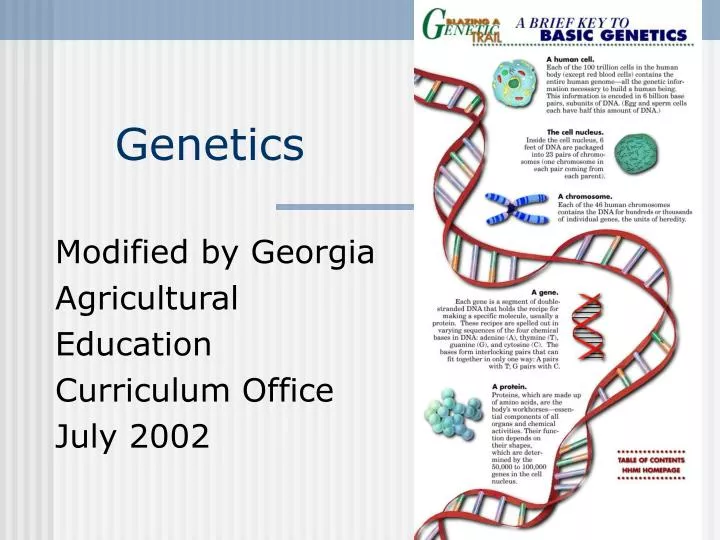 PPT - Genetics PowerPoint Presentation, free download - ID:2972846