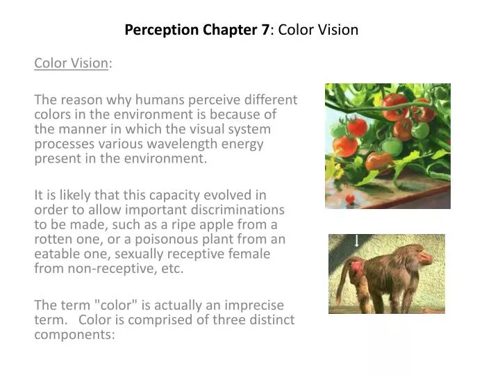 PPT - Perception Chapter 7 : Color Vision PowerPoint Presentation, free ...