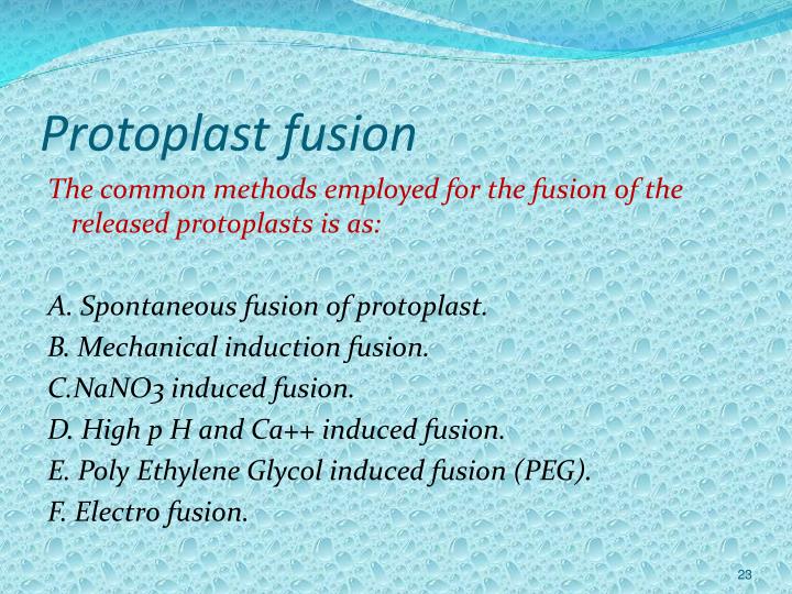 PPT - Type of in vitro culture PowerPoint Presentation - ID:2973311